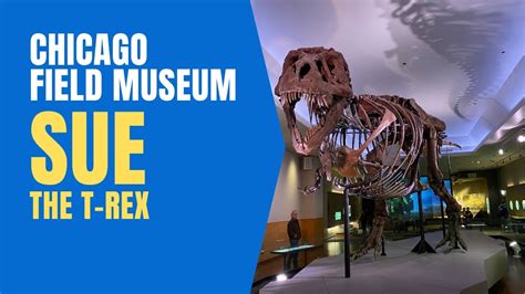Dive Into The World Of Sue The T Rex At Chicagos Field Museum Youtube