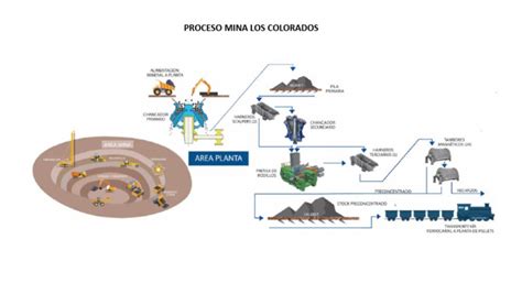mlc esquema proceso mlc pdf