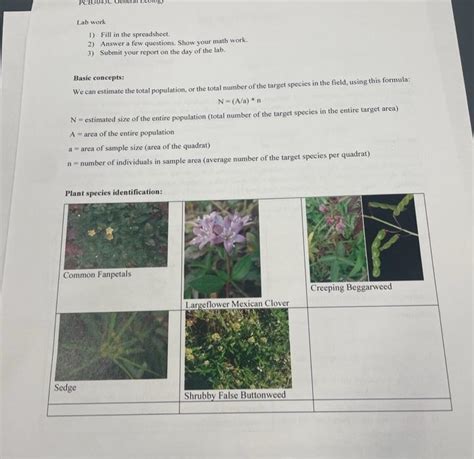 Solved 1lab Work 1 Fill In The Spreadsheet 2 Answer A