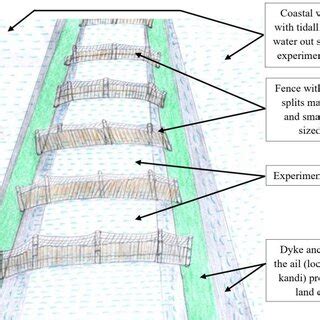 Sketch Of The Experimental Plots Showing Different Parts Of The System Download Scientific
