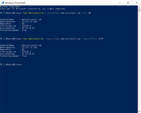 Powershell Tcp Port Check 네이버 블로그