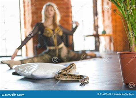 Python On The Floor In Front Of Woman In Bright Costume Performs A