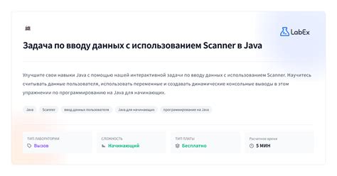 Руководство по использованию Scanner в Java изучите ввод данных