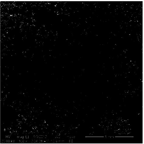 Preparation Method Of Particle Reinforced Magnesium Based Composite
