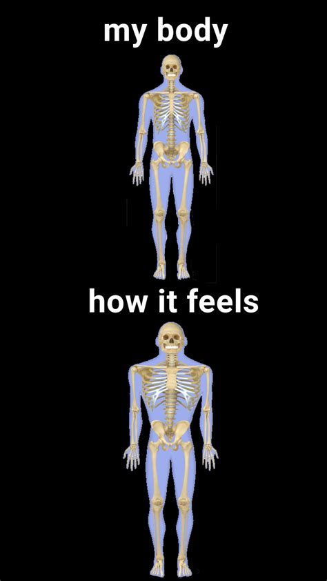 is a completely different skeletal structure too much to ask for r
