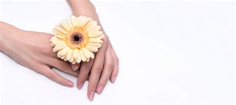 여름 시간에 밝은 대조 화장과 그녀의 손에 꽃 패션 아트 손 여자 창조적인 아름다움 사진 손 여자 배경 대조에 테이블에 앉아 스킨케어 건강한 생활방식에 대한 스톡 사진 및