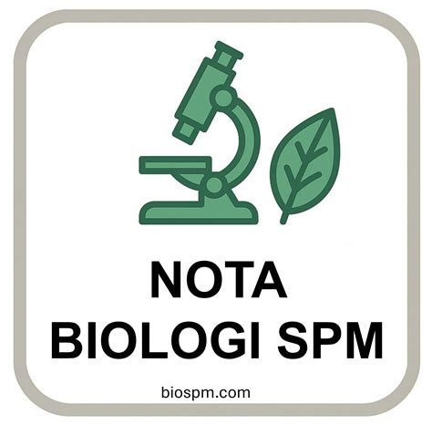 Internal Structure Of A Leaf Lamina Biologi Spm