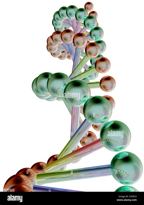 DNA Molecule Computer Artwork Stock Photo Alamy