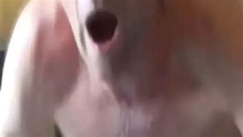 Older Couple Fucking Couple Tube Porn Video F2 Xhamster