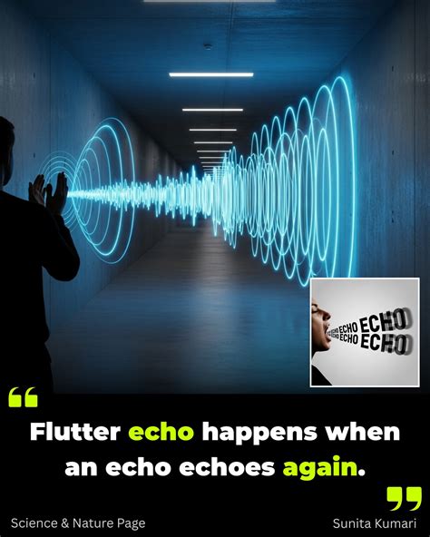 Facts When Sound Chases Itself — The Flutter Echo Facebook
