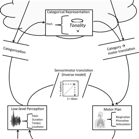 Proposed Neural Substrates Underlying The Architecture Illustrated In Download Scientific