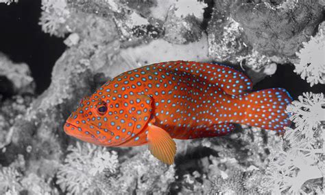 Bildergalerie Kreativ