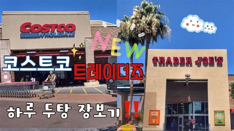 🇺🇸미국 Costco 빅세일 스따뚜‼️ 트레이더조 ️인기템추천템 ️스테디셀러 Ep52 Youtube