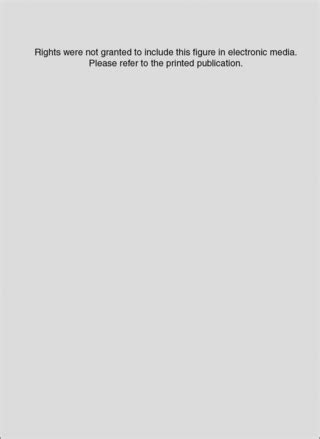 Role Of Complement In Systemic Lupus Erythematosus Pathogenesis Musculoskeletal Key