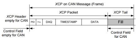 autosar架构 xcp模块与协议介绍 autosar xcp csdn博客