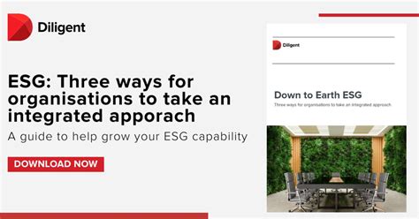 Diligent On Linkedin Diligentdown To Earth Esgthree Ways For Organisations To Take An Integrat