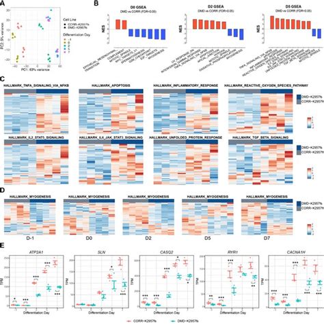 Transcriptome Analysis Reveals Differentially Regulated Gene Sets Download Scientific Diagram
