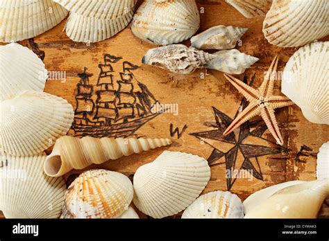 Sea Shell Chart Ponasa