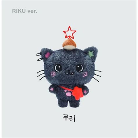 쿠리 양도 리쿠 미개봉 새상품 위시돌 엔시티위시 스테디 인형 판매 포카 Hallyusuperstore