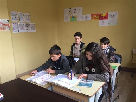 ლევან ბერიძის პორტფოლიო საწრეო მუშაობა