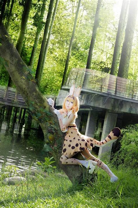 Serene Serval Cosplay Highly Natural Sankaku Complex