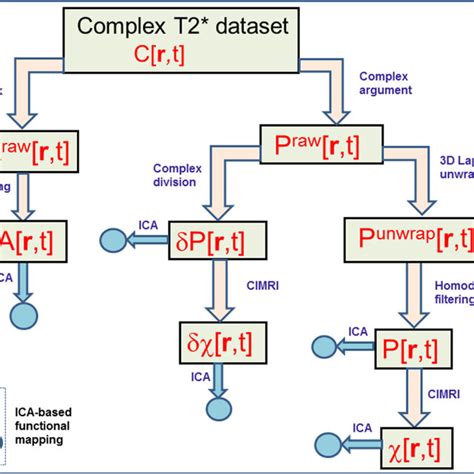 Diagram For Ica Extracted Brain Functional χ Mapping In Different Download Scientific Diagram