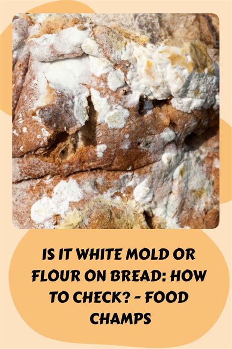Is It White Mold Or Flour On Bread How To Check Food Champs Moldy