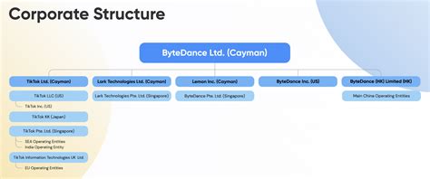 Bytedance An Algorithm Backed Firm With Globalization Ambitions Cgtn