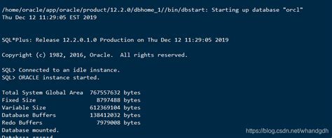 linux 下设置oracle开机自动启动 linux下oracle开机自启动 csdn博客