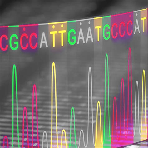Whole Genome Sequencing Wgs Minagene