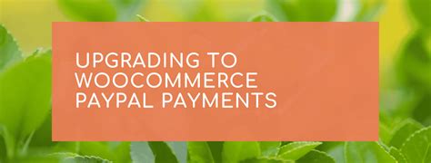 Woocommerce Paypal Payments Upgrade The Smart Bear Websites