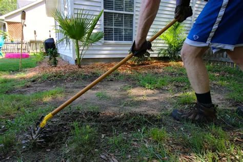 How To Remove Grass Easy DIY Methods
