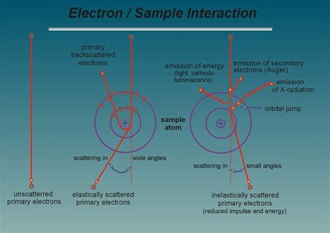 Electron Sample Interaction