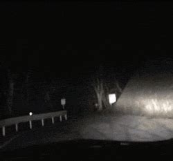 Scary Halloween Spooky Forest 