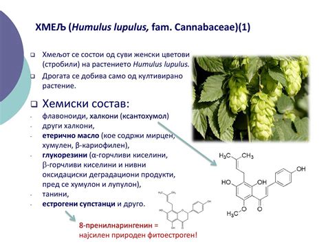 Растителни дроги и природни производи третманот на Ppt Download