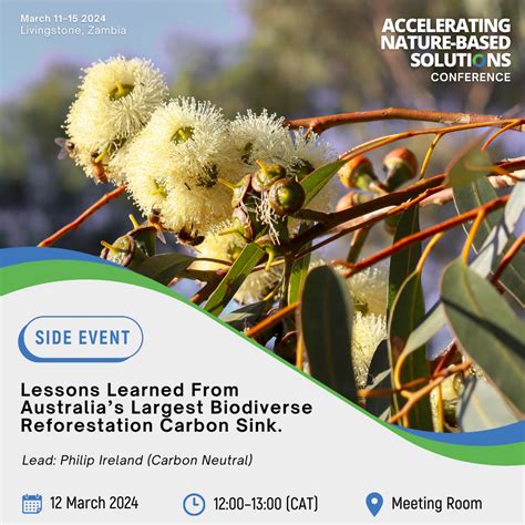 Accelerating Nature Based Solutions Carbon Neutral