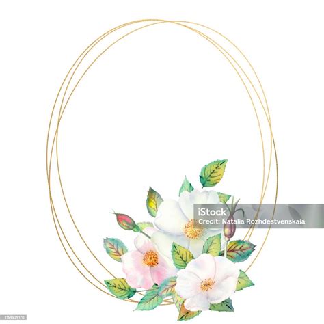 흰색 장미 엉덩이 붉은 과일 녹색 잎 기하학적 황금 프레임의 구성의 꽃 꽃 포스터 초대장 인사말 카드 또는 초대장의 디자인에 대한 수채화 조성물 0명에 대한 스톡 벡터 아트