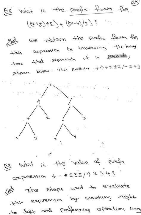 Trees In Discrete Mathematics Definition Rooted Tree Terminology