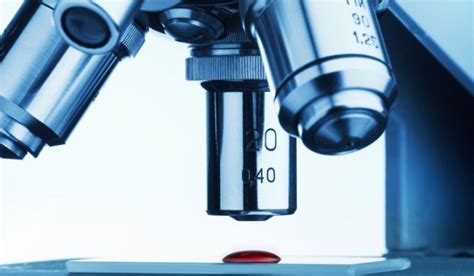 Mold Post Remediation Testing Service