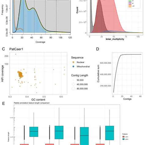 Patella Caerulea Patcaer1 Genome Assembly And Annotation Metrics A