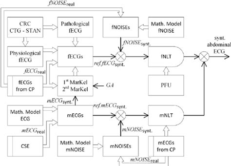 Simplified Block Diagram Of The Fecg Signal Generator Download Scientific Diagram