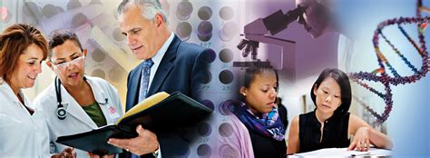 fda guidance for data monitoring committees dsmbs the peer