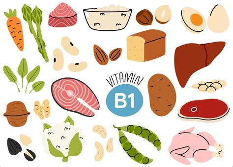 Vitamin B1 Source Vector Art Icons And Graphics For Free Download