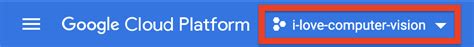GCP Guide