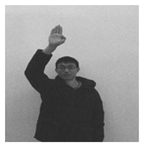ordinary human images polluted by gaussian noise σ 20 and denoising