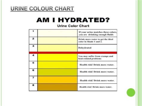 Urine Smells Like Ammonia Sweet Puff Glass Pipe