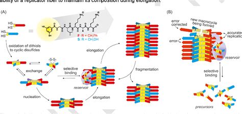 Figure 1 From Binding Of Precursors To Replicator Assemblies Can
