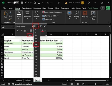 Excel Format Fonts