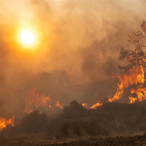 North Mongolia НҮБ аас анхааруулав “Дэлхийн дулаарал Facebook