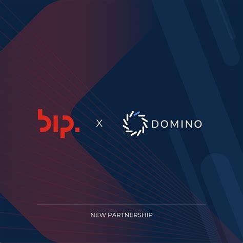 Bip Announces Partnership With Domino Data Lab To Accelerate Ai Impact